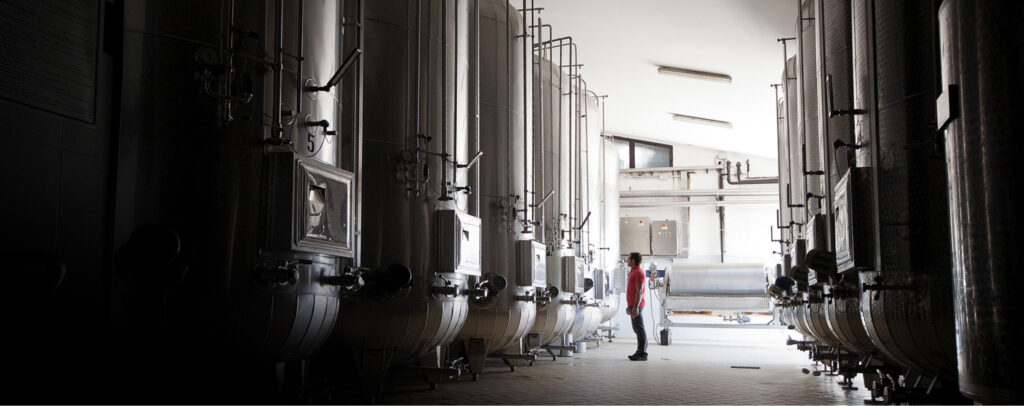 the territory - Merotto